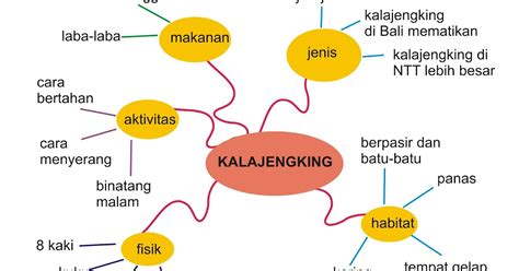Contoh Peta Minda Simple Cara Membuat Peta Konsep Di Word Mind
