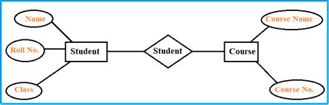 what is entity relationship model in dbms er diagram usemynotes