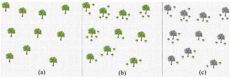 biomimetics free full text optimization of butterworth and bessel filter parameters with