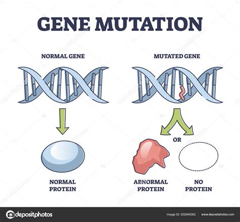 Gene Mutation Models Comparison With Abnormal Helix Protein Outline