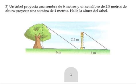 3 Un árbol proyecta una sombra de 6 metros y un semáforo de 2 5 metros
