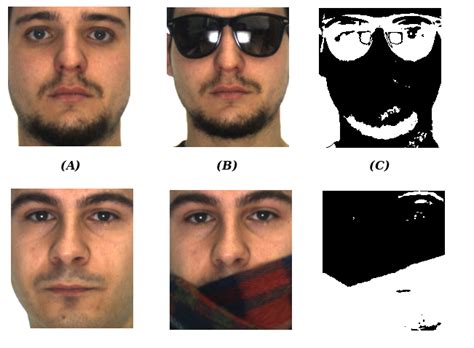 occlusion the performance of the face recognition