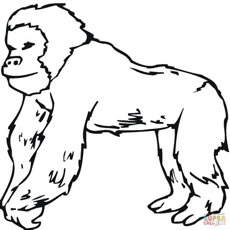 Ausmalbild Gorilla Männchen Ausmalbilder kostenlos zum ausdrucken