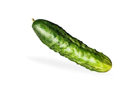 Pepino Aislado Sobre Fondo Blanco Foto Premium