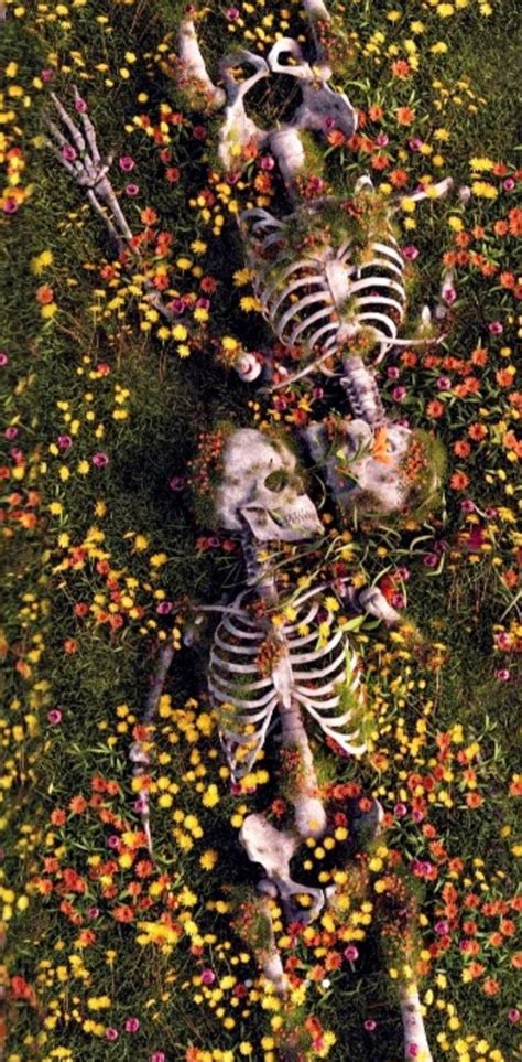 Skeleton Love Wallpapers Wallpaper Cave