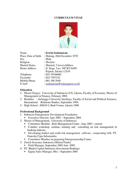 Contoh Daftar Riwayat Hidup Fresh Graduate Smk Gawe CV