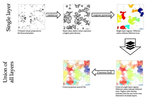 flowchart of the multi layer seeded region growing procedure the download scientific diagram