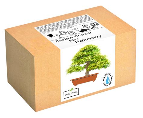 Zestaw do uprawy drzewka Bonsai Klon Palmowy liść Inna marka Sklep