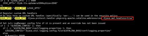 java lang noclassdeffounderror could not initialize class sun awt x11graphicsenvironment
