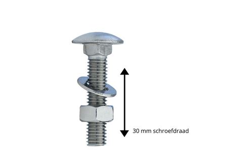 Tornillos Carroceros De Acero Inoxidable M8 X 40 Mm Wovar
