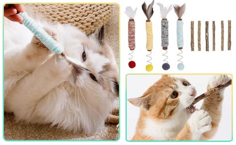 Masticar Palos Gato Palitos De Hierba Gatera Matatabi Catnip Juguetes