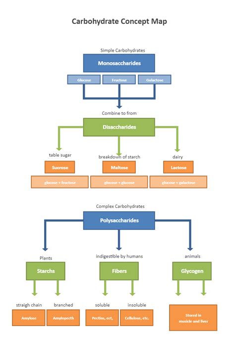 Carbohydrates Concept Map Edrawmax Templates The Best Porn Website