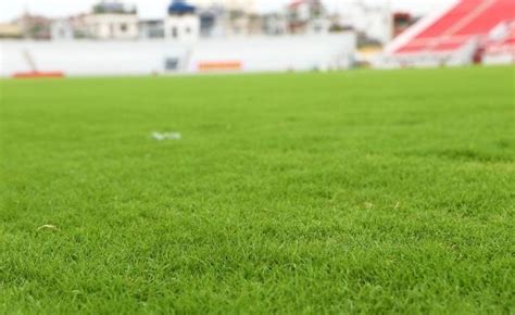 Hình nền sân cỏ đẹp nhất cho máy tính của bạn Khám phá ngay