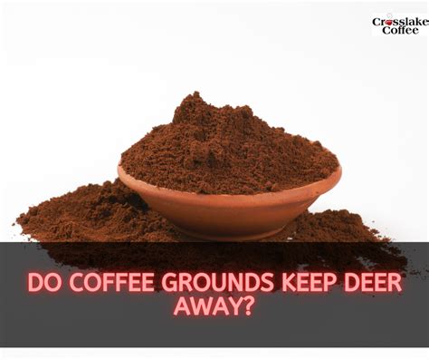 Do Coffee Grounds Keep Deer Away Exploring Wildlife Myths Crosslake