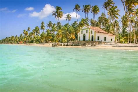 As 12 melhores praias de Recife e arredores veja as imperdíveis