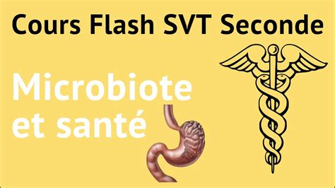 Microbiote et Santé Cours de SVT Seconde YouTube
