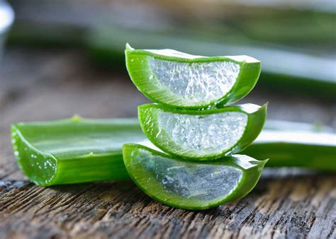 Aloe Vera para qué sirve propiedades y beneficios PequeRecetas