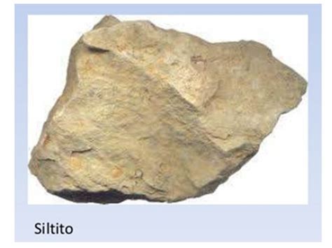 Cantinho Da Bio Ano Tipos De Solo