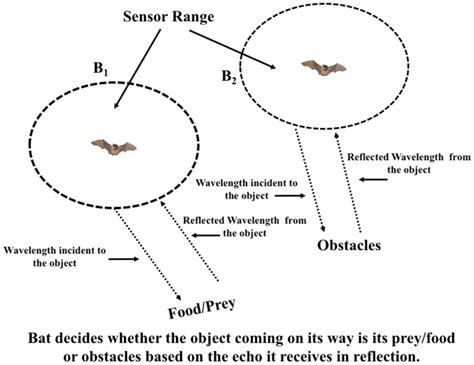 diagram representing working of bat algorithm download scientific diagram