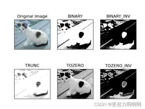 opencv——实验结果输出《图像基本操作》 计算机视觉如何输出图片处理结果 csdn博客