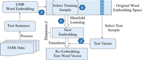 biomedical word re embedding via manifold learning download scientific diagram