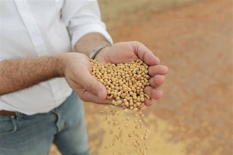 Bayer expõe lançamento para soja na 19º Expoagro Afubra Revista Cultivar