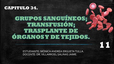 Grupos Sanguíneos Andrea Ergueta uDocz