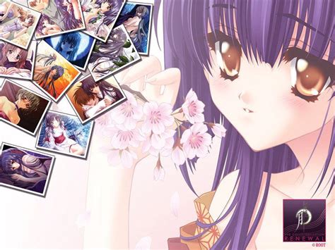 Dvd Rom Collectors Edition Renewal