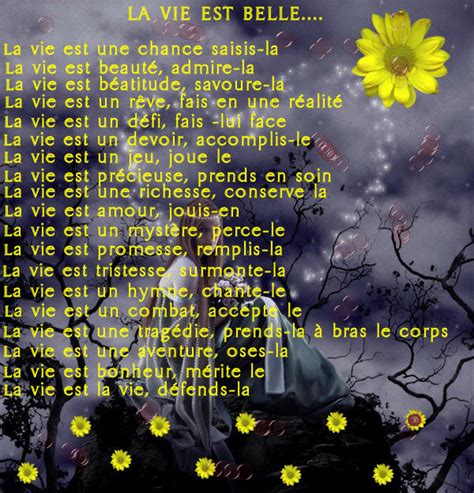 Citations option bonheur Panneau de Mère Teresa sur la beauté de la