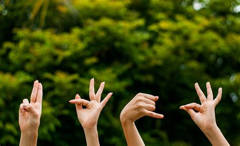 Prime Cursos Oferece Curso Gratuito De Libras Online