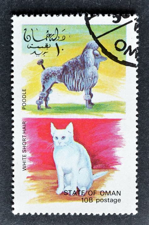 Cancelled Postage Stamp Printed By Oman That Shows White Short Haired