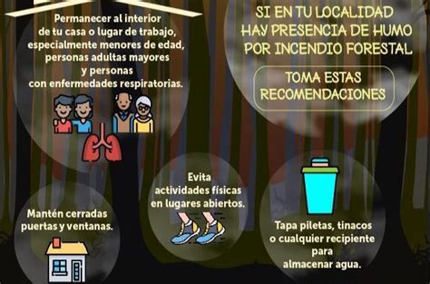 Qué afectaciones genera el humo de los incendios y cómo evitar daños a