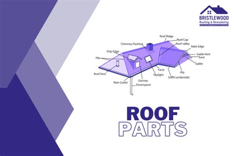 Unlocking The Secrets Of Roof Anatomy A Comprehensive Guide To Roof