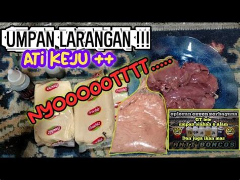 Umpan Larangan Galatama Lele Ati Keju Paling Gacor YouTube