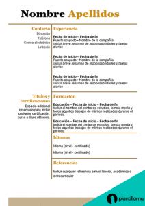 CURRICULIM VITAE BÁSICO Descarga GRATIS en Word