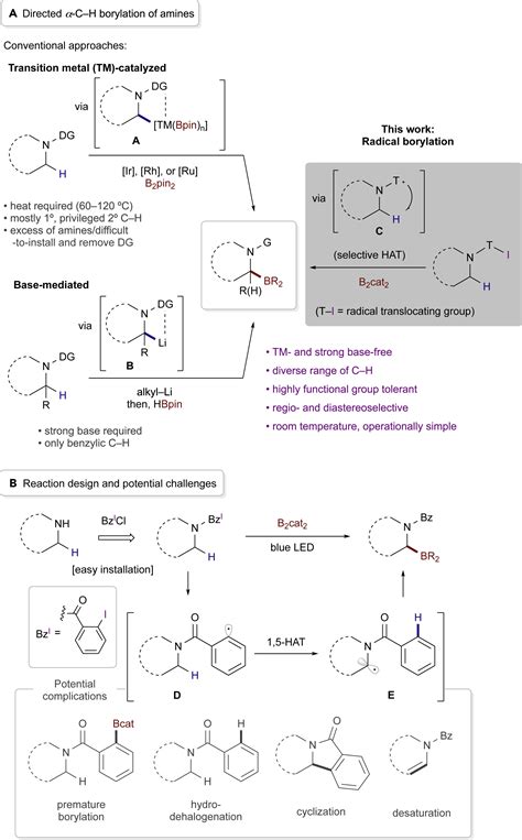 General And Selective Metal Free Radical Ch Borylation Of Aliphatic