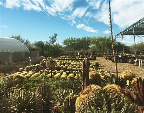 30 Best Fun Things To Do In Tucson Arizona Artofit