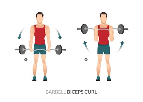 Barbell Biceps Curl Men Gym Entrenamiento Fitness Aerobic Y