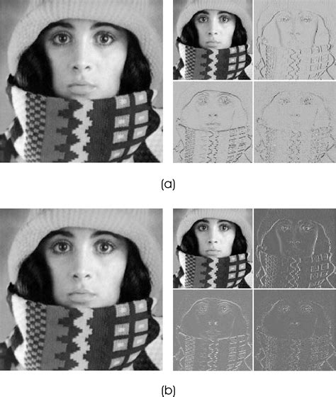 figure 1 from multiresolution signal decomposition schemes part 2 morphological wavelets