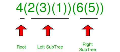 Construya Un Rbol Binario A Partir De Una String Con Representaci N De