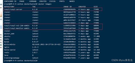 docker部署（使用docker compose）手把手教程 docker compose up csdn博客