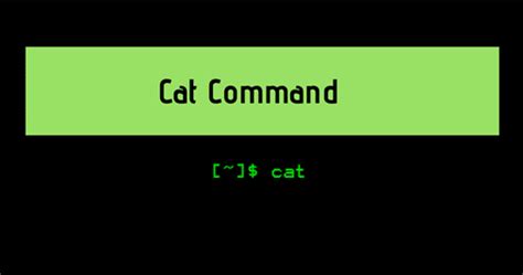 Unix Linux Cut Command Examples LPI Central