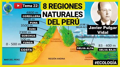 Las Regiones Naturales Del Per Seg N Javier Pulgar Vidal Ecolog A