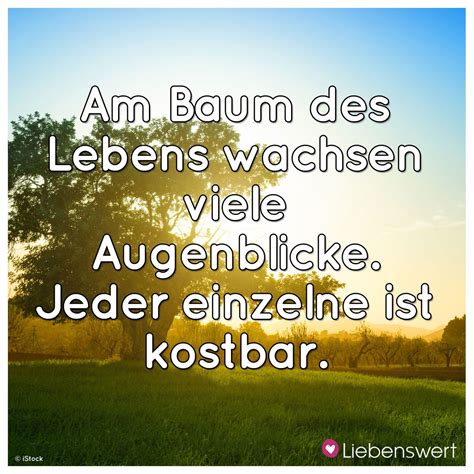 Inspirierende Sprüche über das Leben Inspirierende sprüche Sprüche