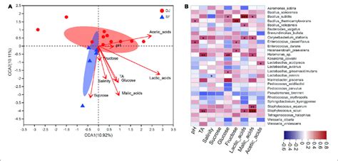 correlational analyses a canonical correlation analysis cca of download scientific