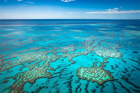Great Barrier Reef WorldAtlas