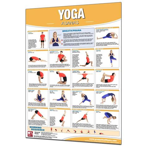 Our Functional And Stylish 24 X 36 Laminated Fitness Poster Wall