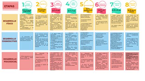 Las 8 Etapas Del Desarrollo Humano