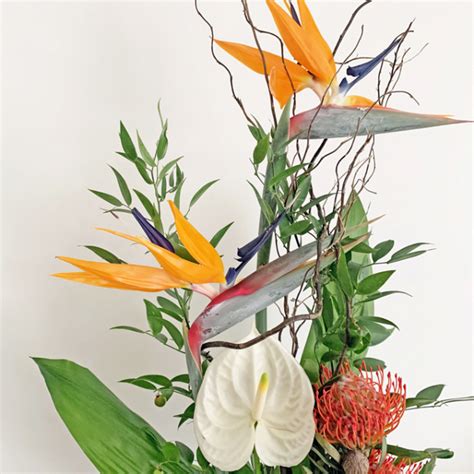 Descubra 48 Kuva Bouquet De Fleurs Tropical Thptnganamst Edu Vn