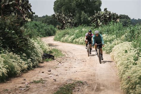 Conoce Las Medidas Para La Cadena De Tu Bicicleta PEDALIA